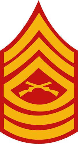 Vietnam War Us Army Master Sergeant Rank Insignia M1